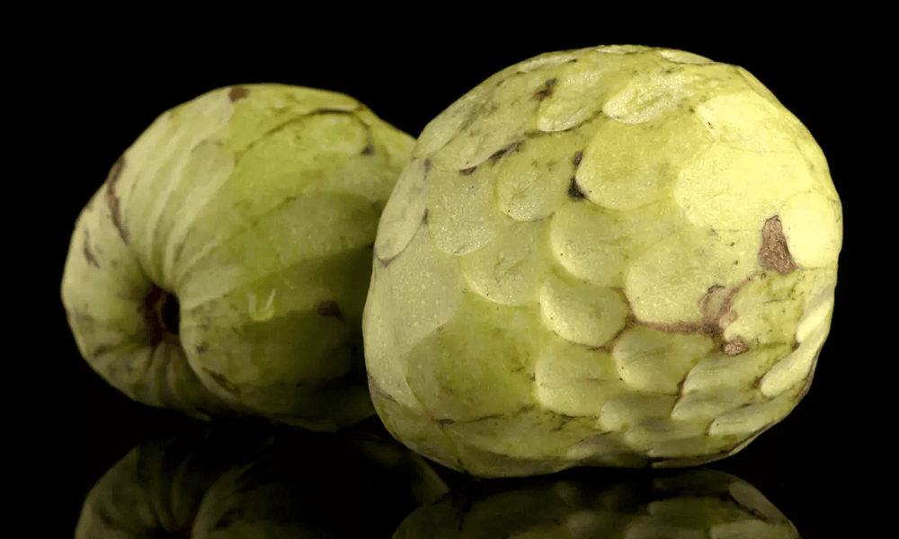 Direct Mail Systems - Mailing House, Direct Mail and Fulfilment ...