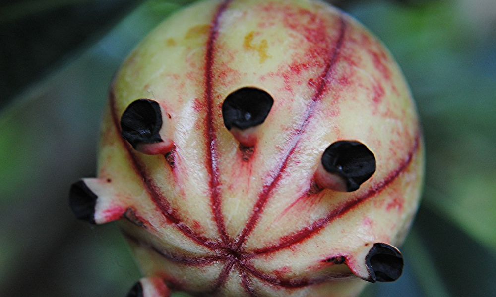 Direct Mail Systems - Mailing House, Direct Mail and Fulfilment ...