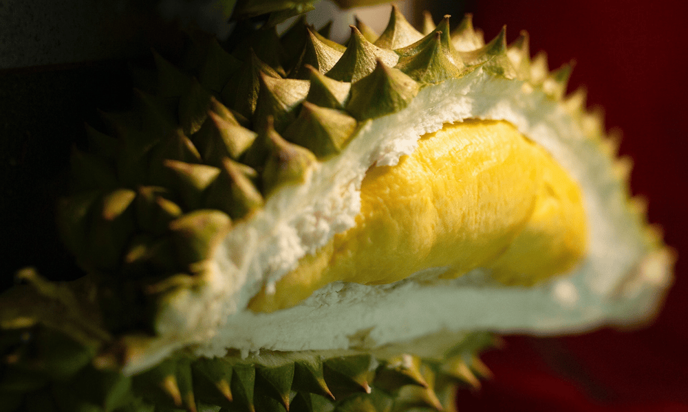 Direct Mail Systems - Mailing House, Direct Mail and Fulfilment ...